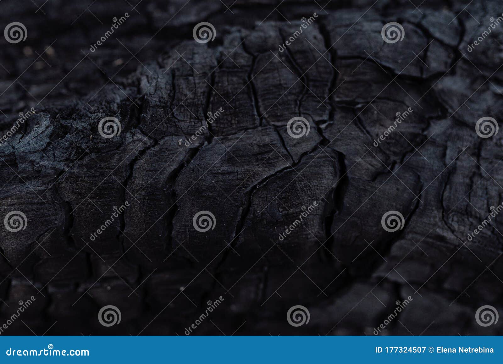 The Black Texture of the Burnt Tree Bark Stock Image - Image of burned ...
