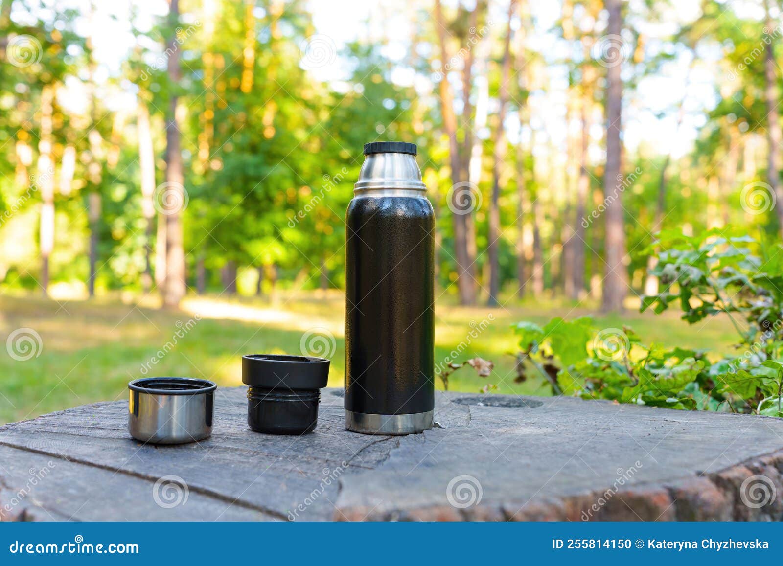 Black Thermos Bottle and Cups on a Tree Stump Stock Photo - Image of ...