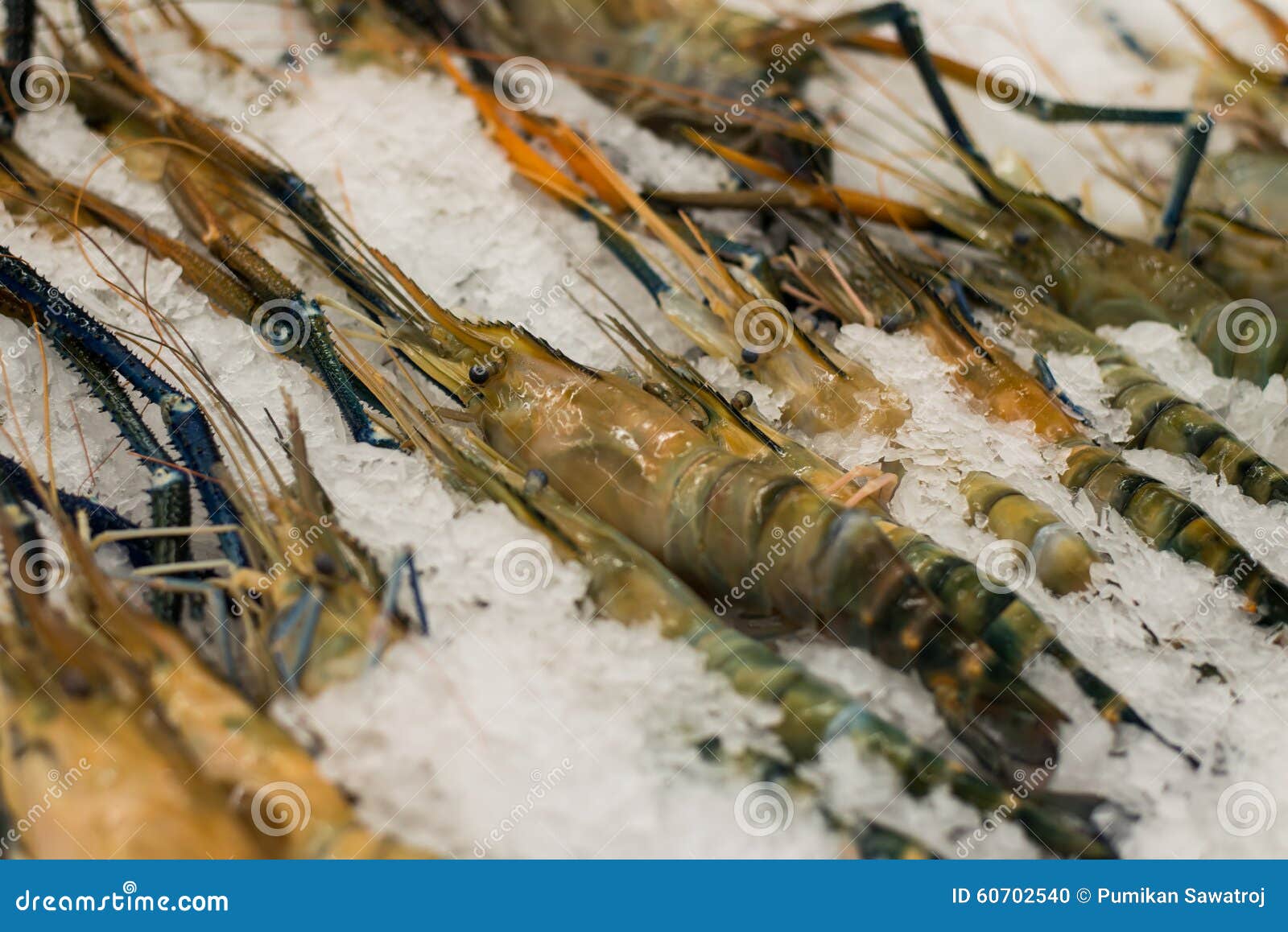 Black Tiger Prawns on a Farm Stand Stock Photo - Image of prawns, water ...