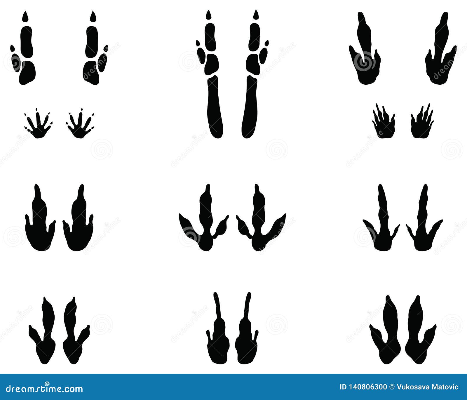 Black Traces Of Kangaroo Paws Royalty-Free Stock Image | CartoonDealer ...