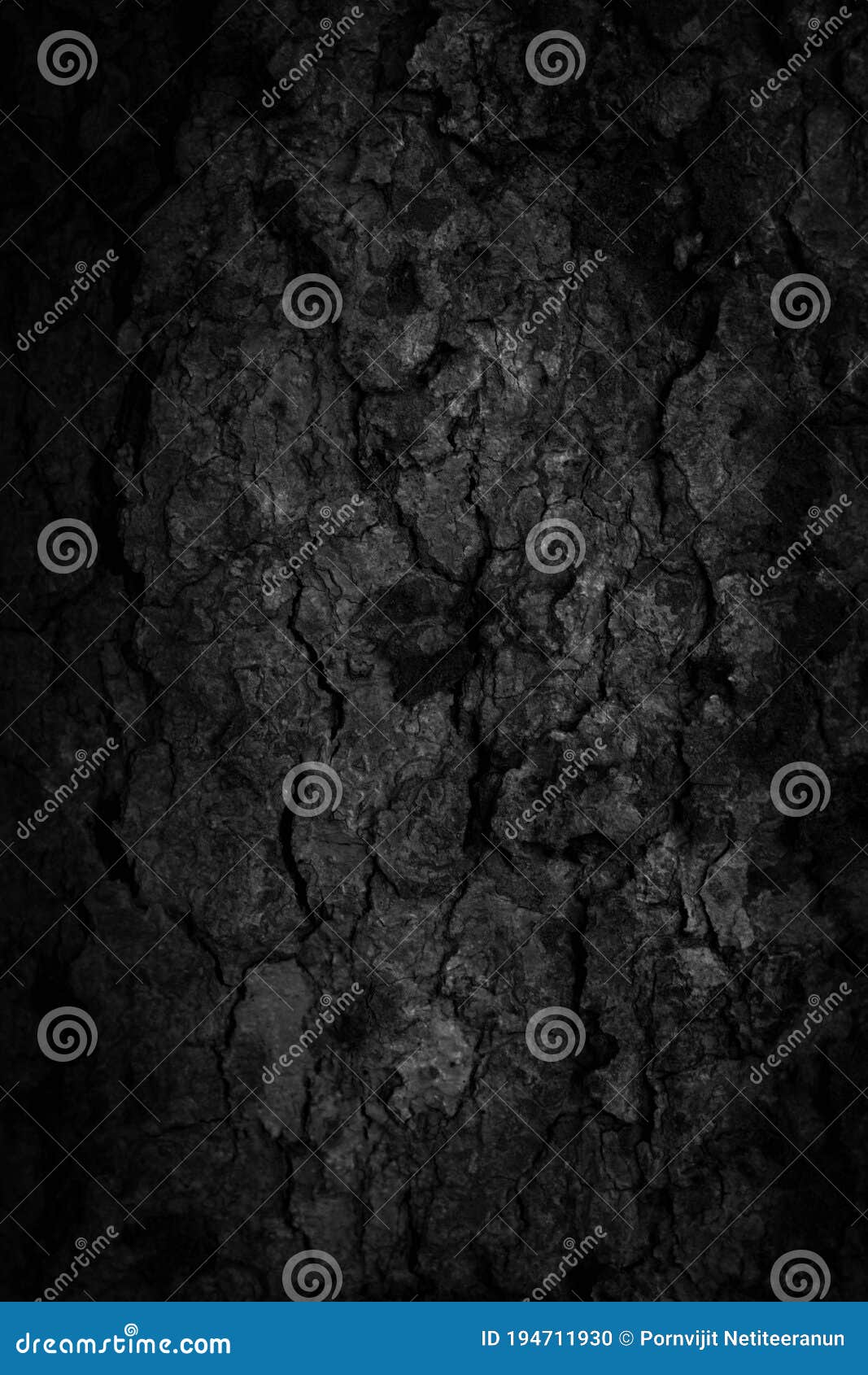 Black Tree Bark Background Natural Beautiful Old Tree Bark Texture ...