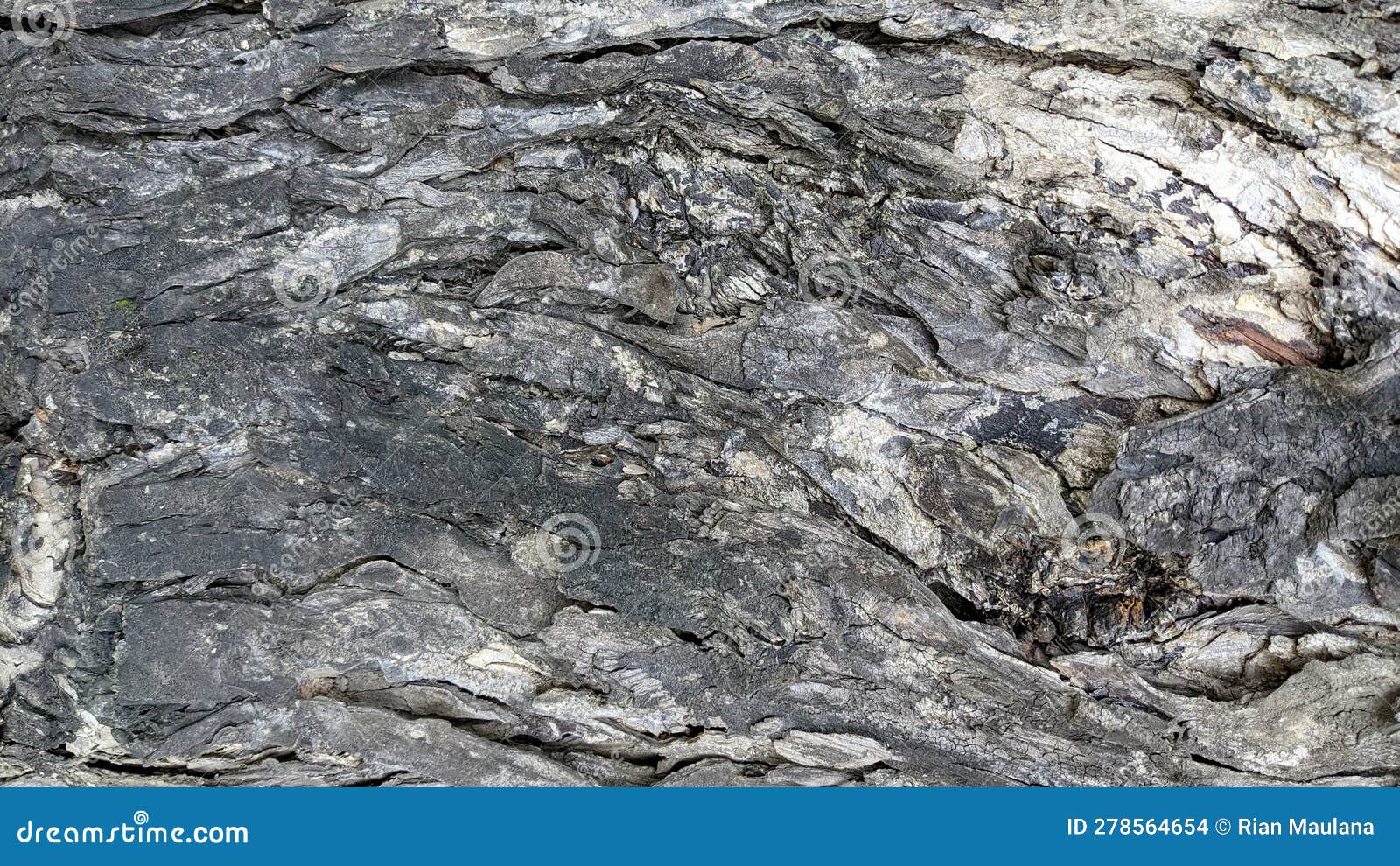 Black Tree Bark Texture. Natural Background in Abstract Style Stock ...