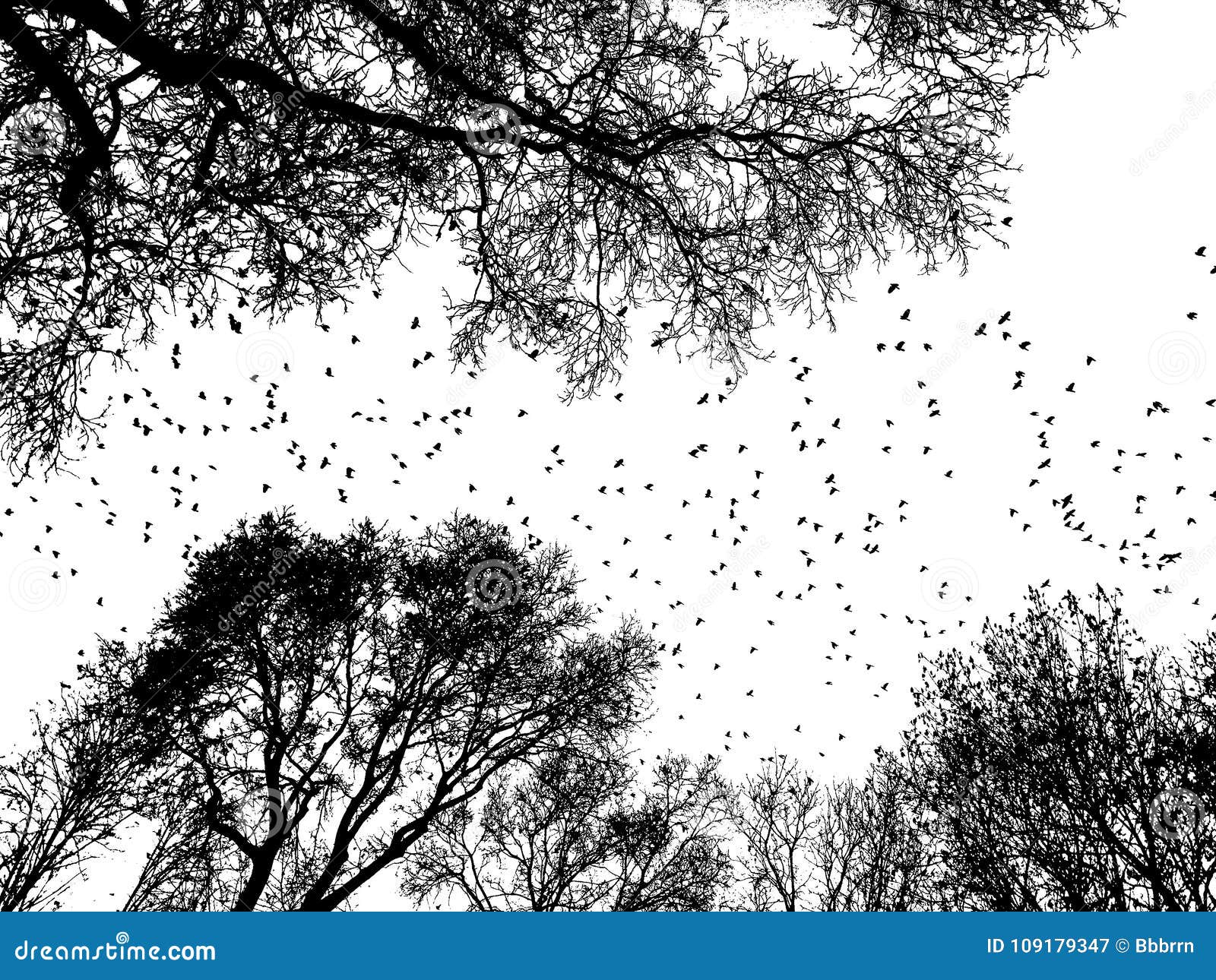 Black Tree and Bird Sketch with Copy Space Stock Image - Image of ...