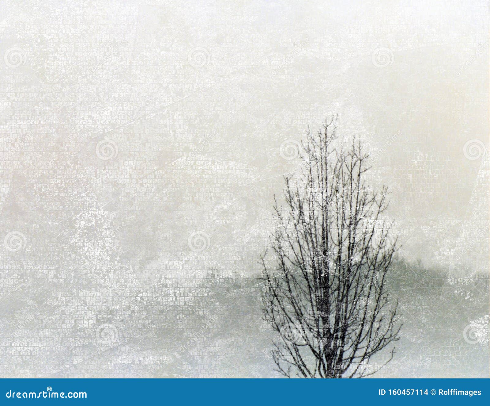 Black tree stock illustration. Illustration of abstract - 160457114