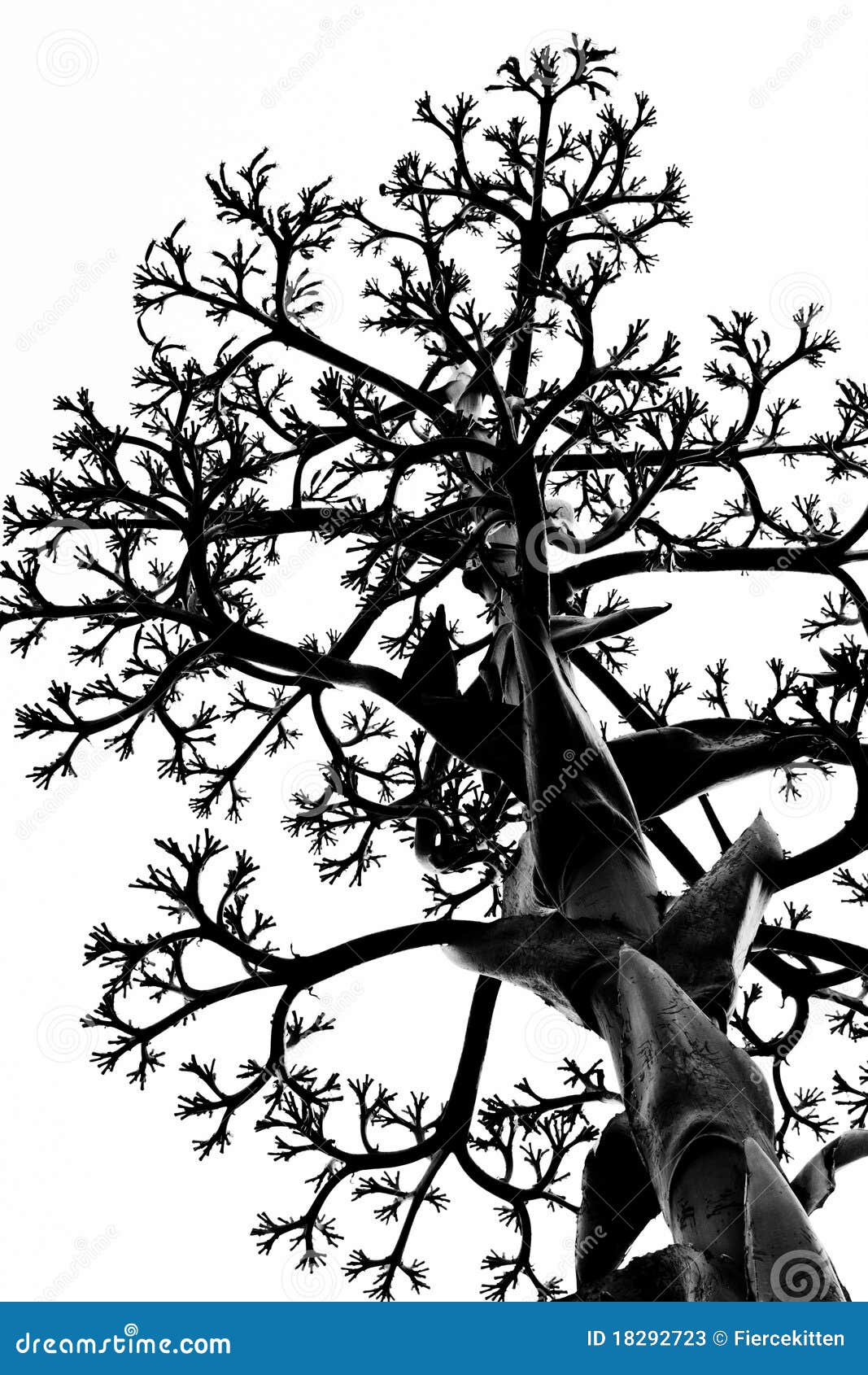 Black tree branches stock image. Image of ominous, high - 18292723