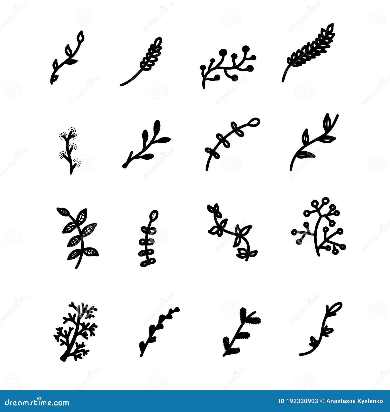 Black Tree Branches Divider Lines on White Background. Set of Hand ...