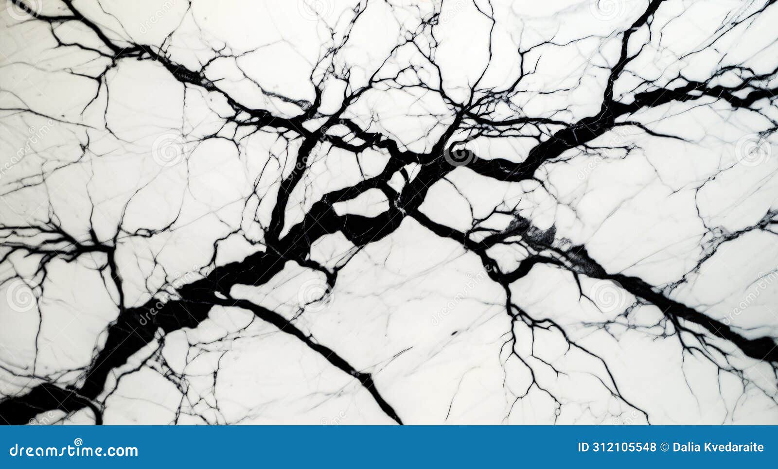 Black Tree Branches Pattern on White Carrara Marble Texture Stock ...