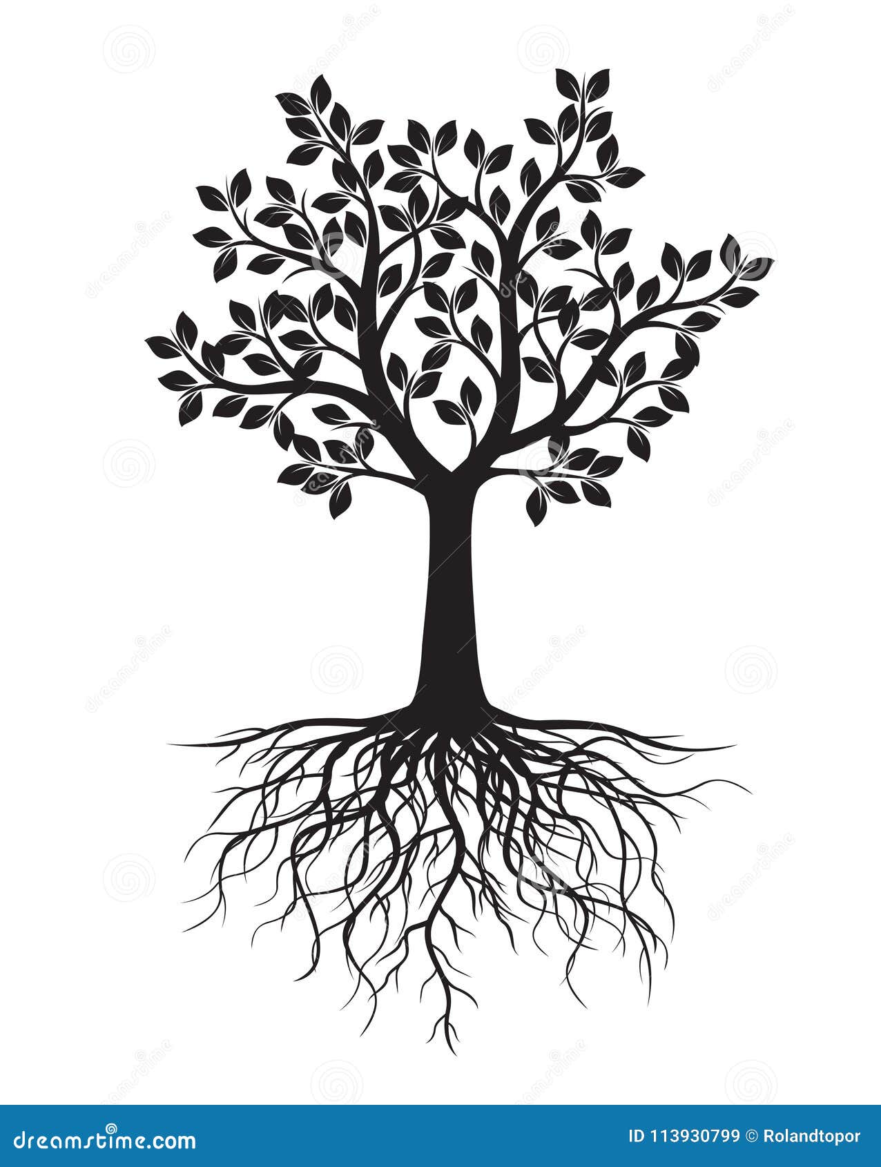 Black Tree with Leaves and Roots. Stock Illustration - Illustration of ...
