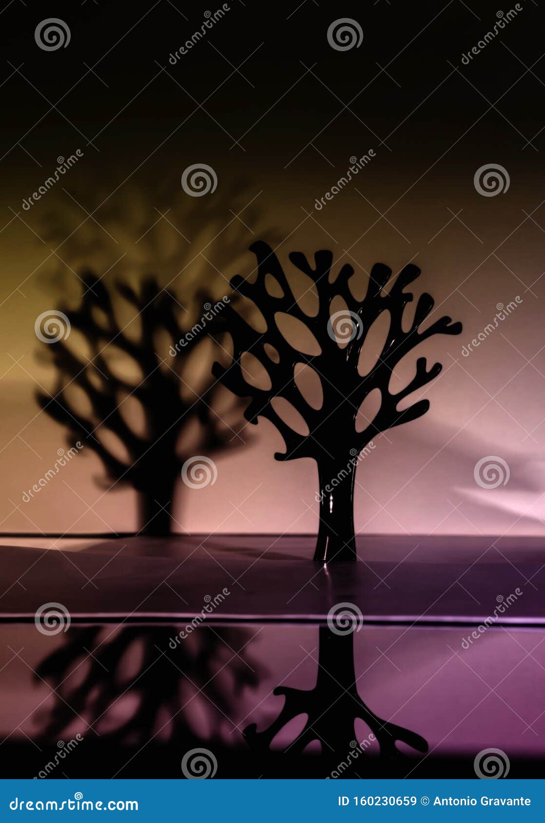 Black Tree with Reflection in Water and Shadow on the Background Stock ...