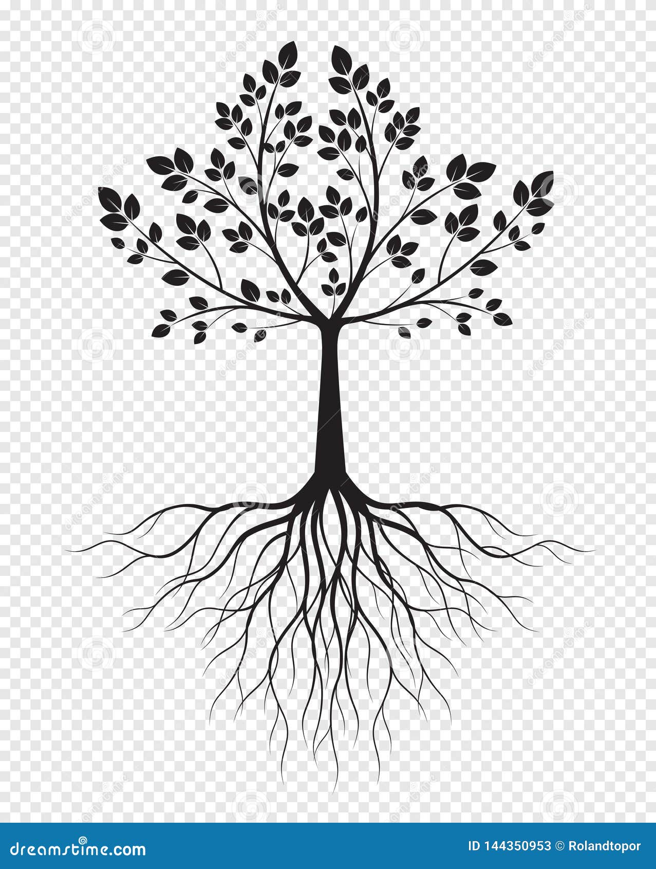 Black Tree with Roots on Transparent Background. Vector Illustration ...
