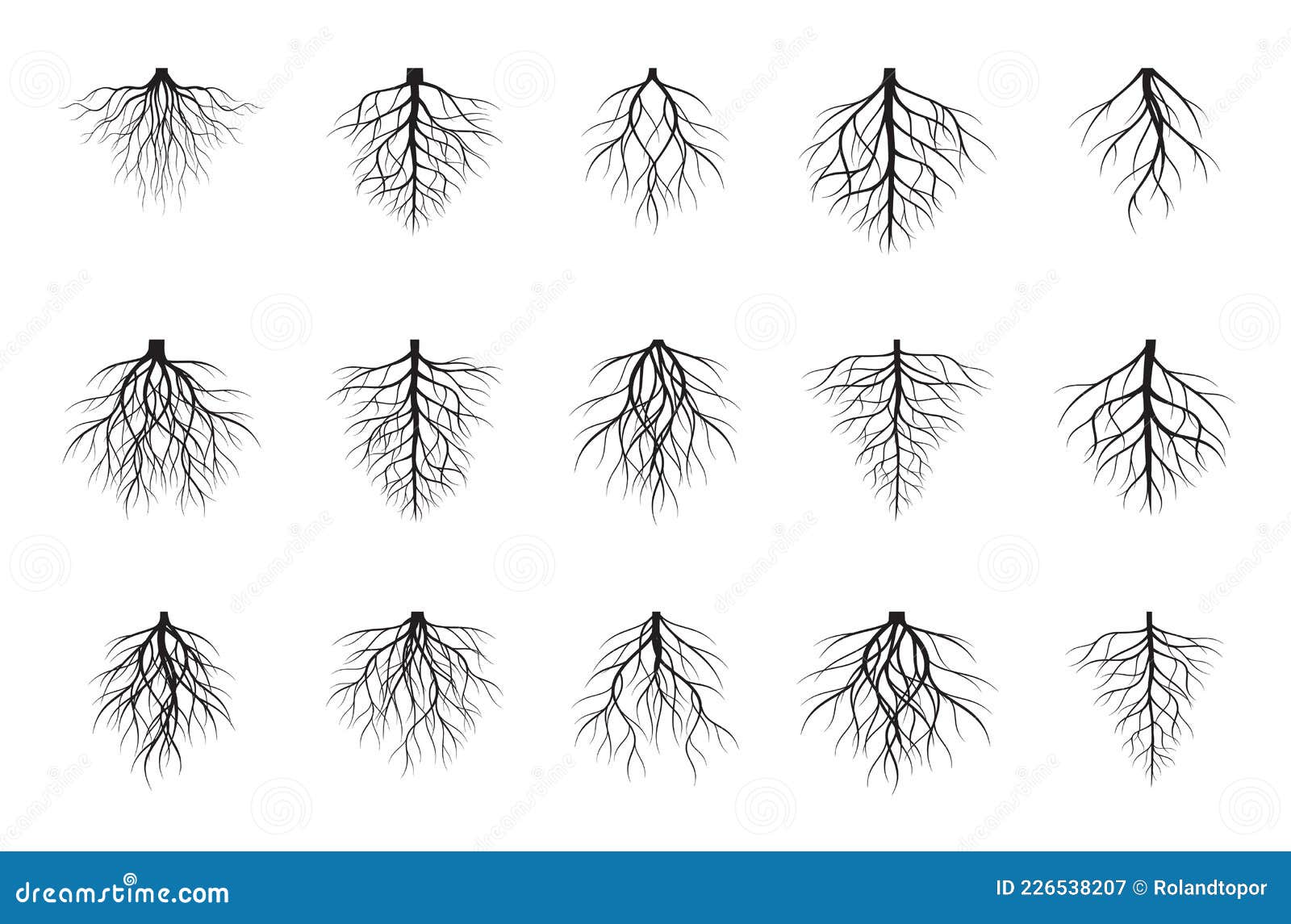 Black Tree Roots. Vector Illustration Stock Vector - Illustration of ...