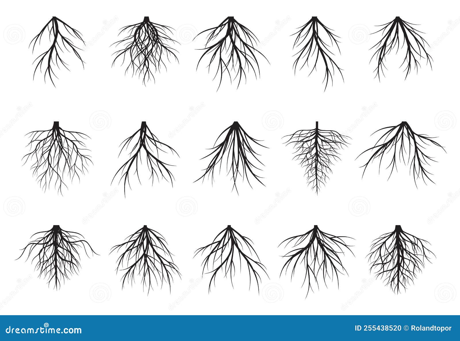 Black Tree Roots. Vector Illustration Stock Vector - Illustration of ...