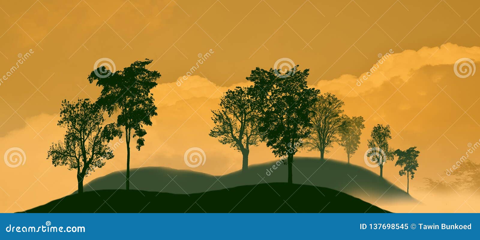 Black Tree Shadow on the Mountain. White Orange Background. Stock Image ...