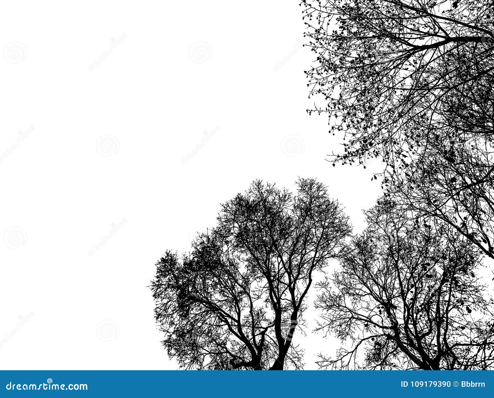 Black Tree Sketch with Copy Space Stock Photo - Image of outline, black ...