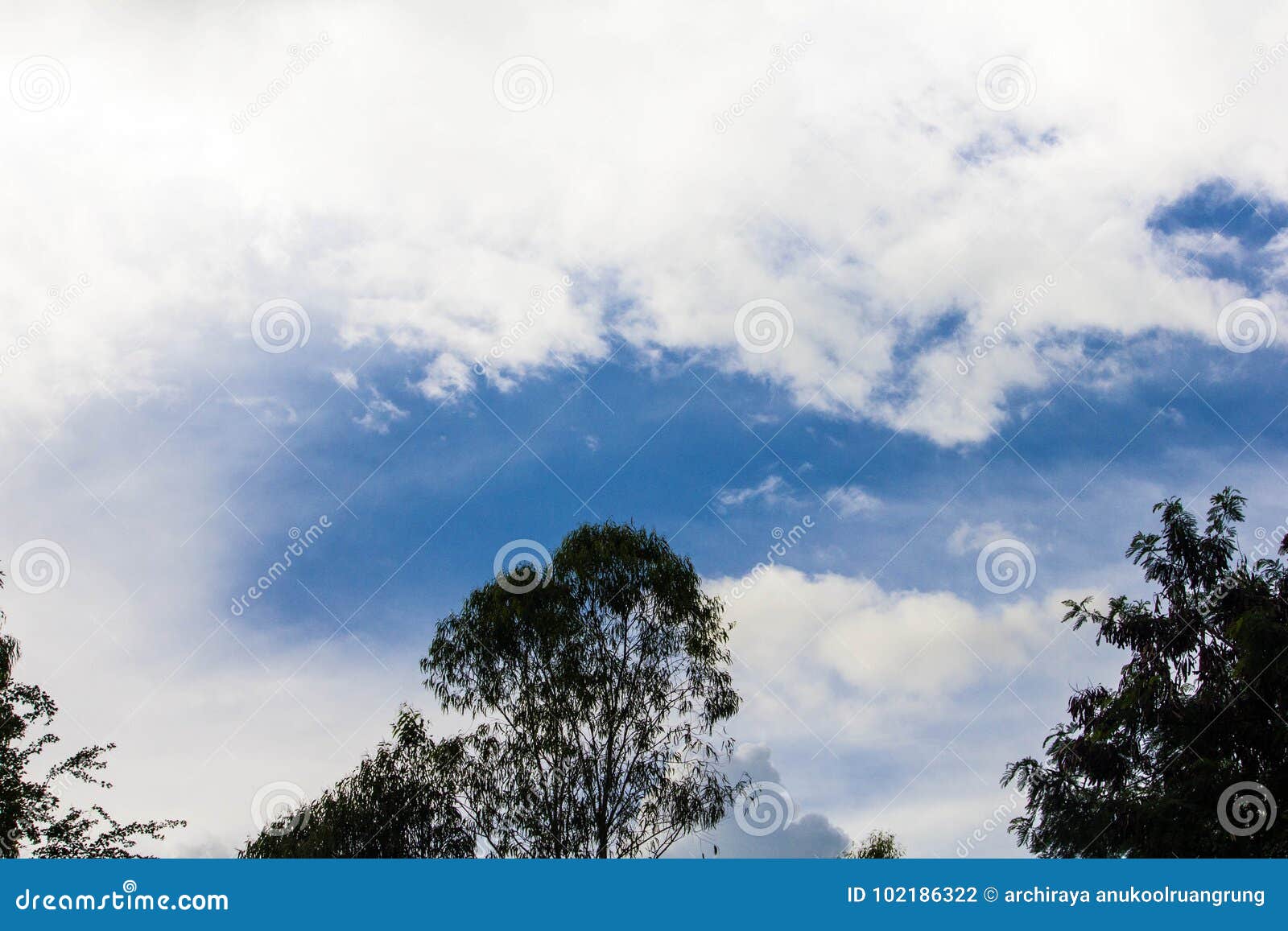 Sky and cloud in winter stock photo. Image of color - 102186322