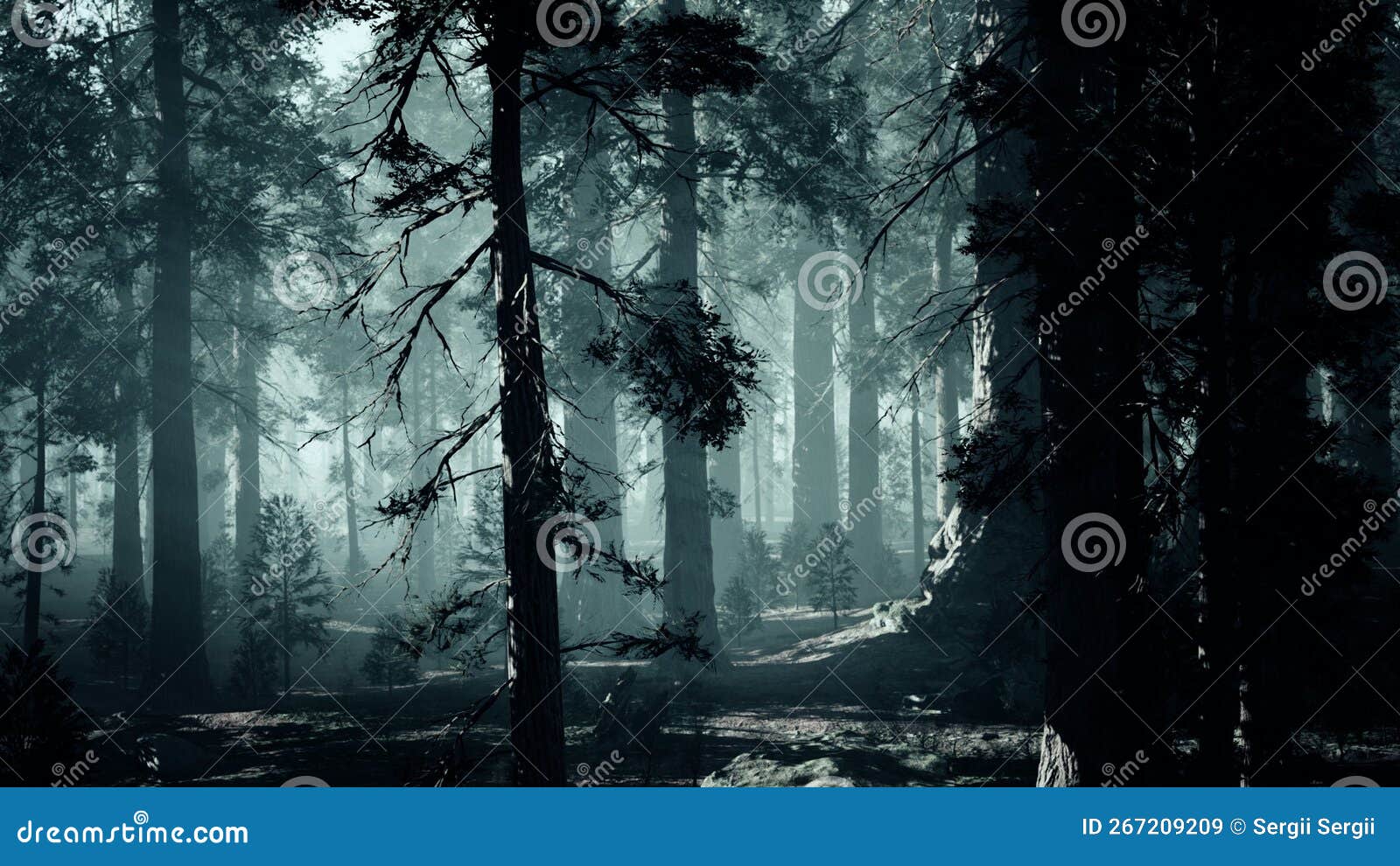 Black Tree Trunk in a Dark Pine Tree Forest Stock Illustration ...
