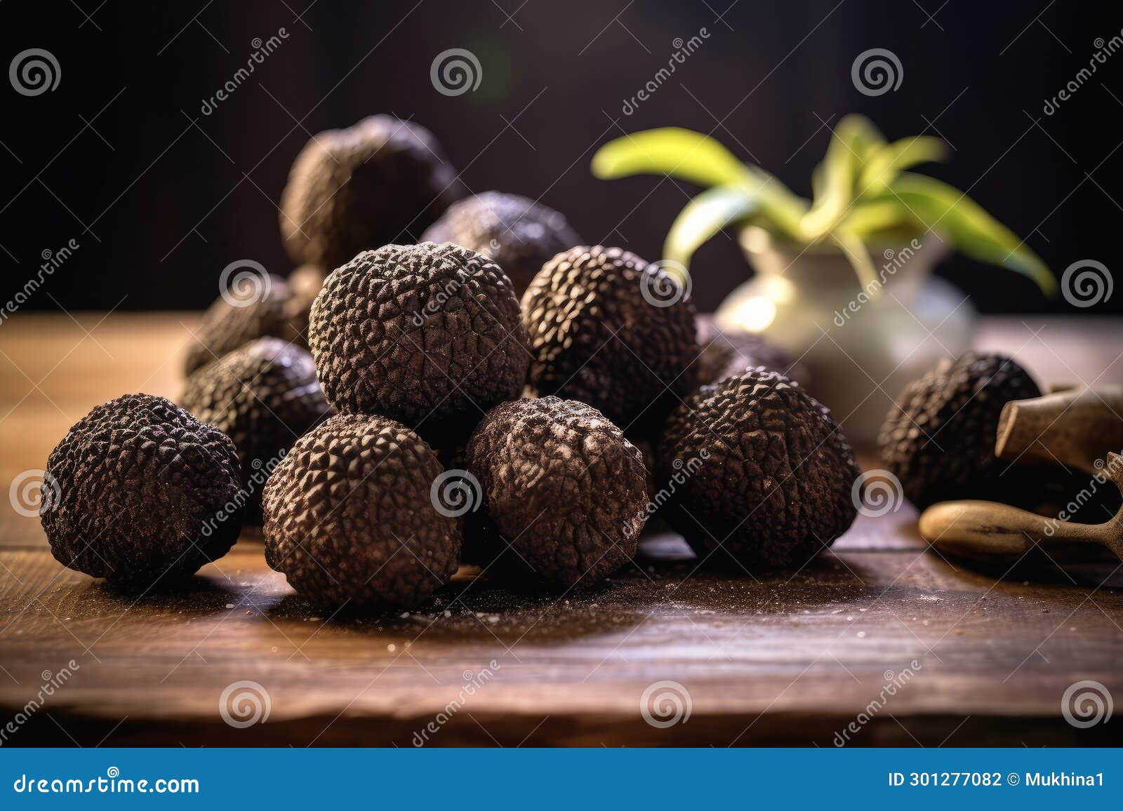 Black Truffle Mushroom Set, Dog Hunting For Truffle Tubers, Packaging ...