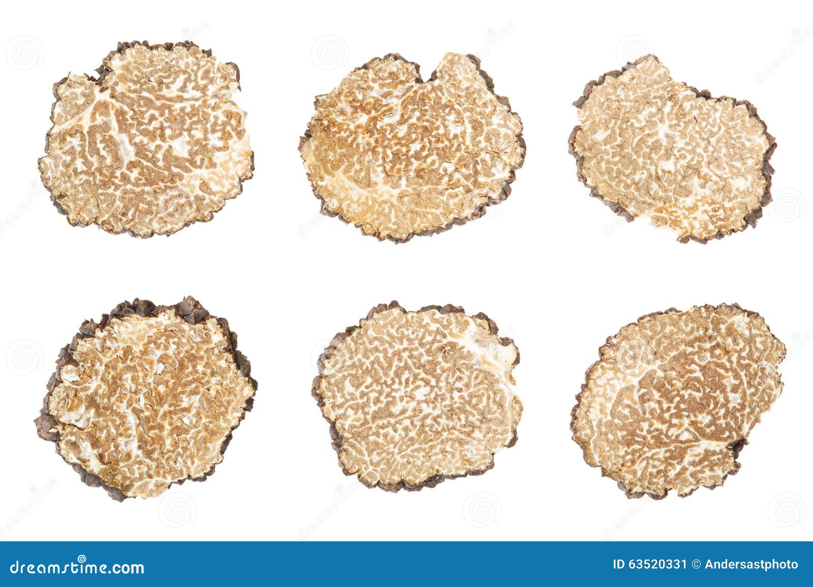 Black Truffle Slices Collection on White Stock Image - Image of ...