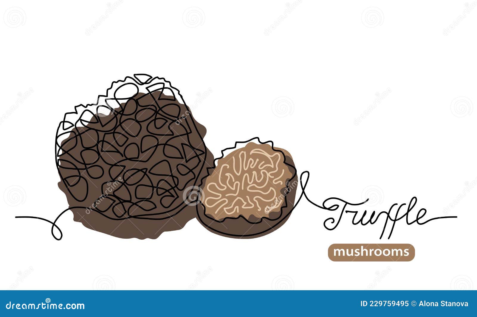 Black Truffle Mushrooms On White Background Stock Image 39665839