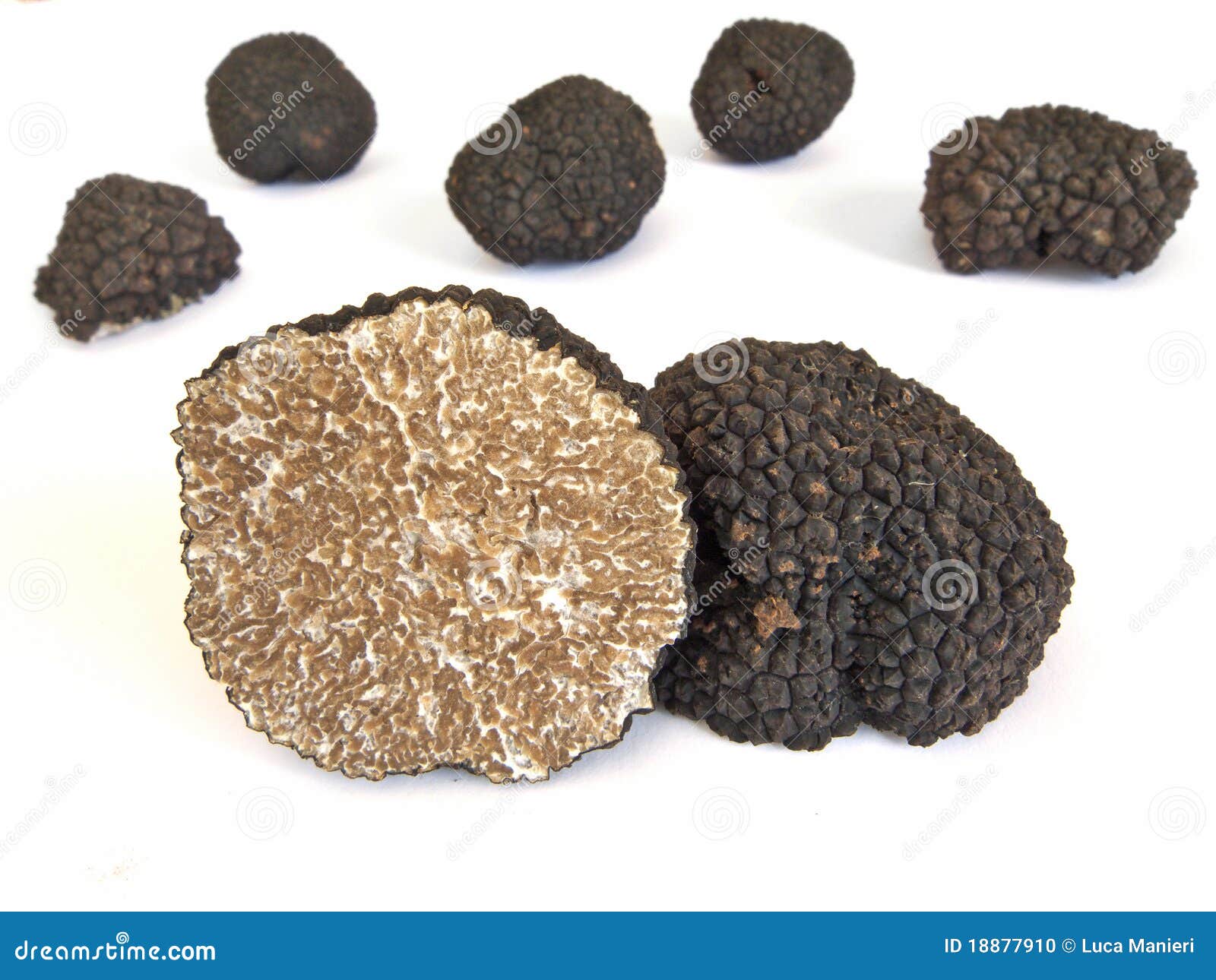 Black truffles stock photo. Image of rare, edible, truffle - 18877910