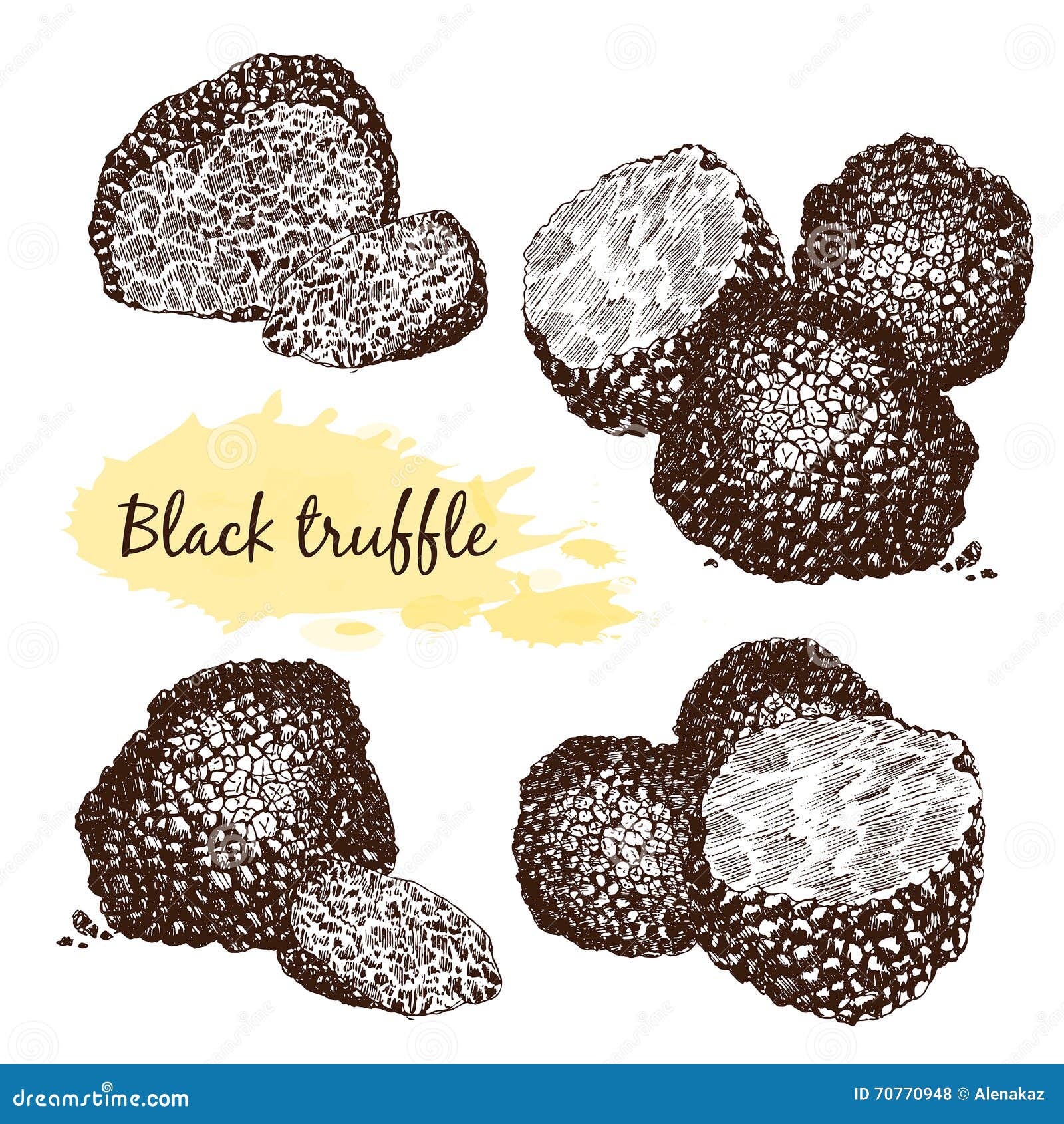 Black truffles group stock vector. Illustration of dainty - 70770948