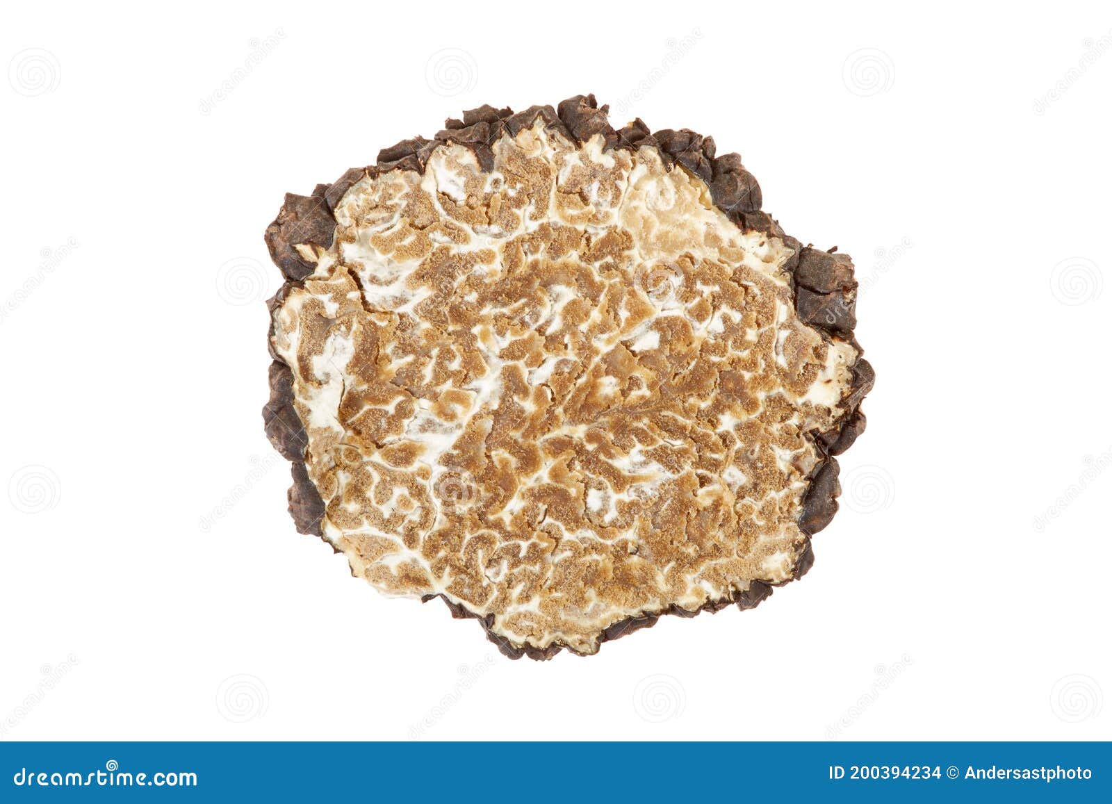 Black Truffles Slice Isolated on White Stock Photo - Image of black ...