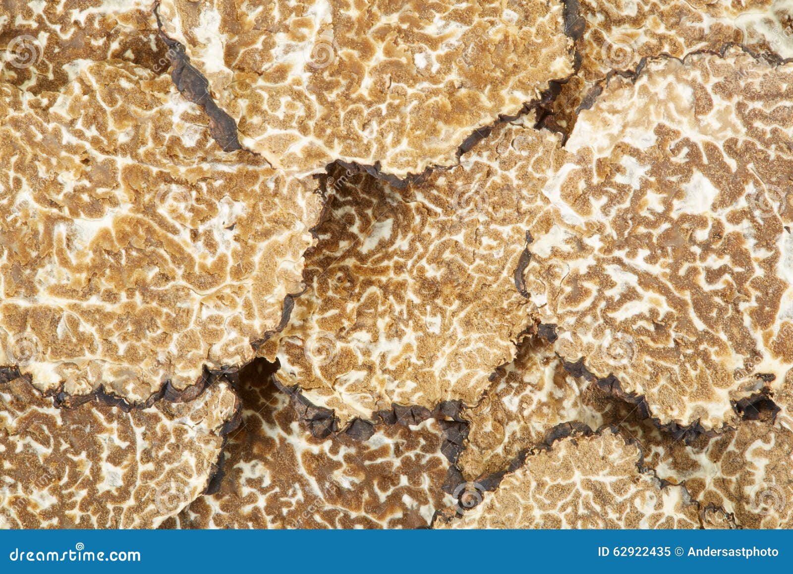 Black Truffles Slices Texture Background Stock Image - Image of texture ...