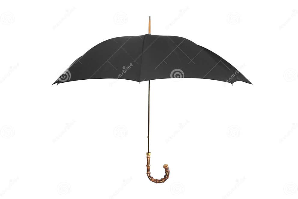 Black Umbrella stock photo. Image of rainy, open, fashionable - 2533846