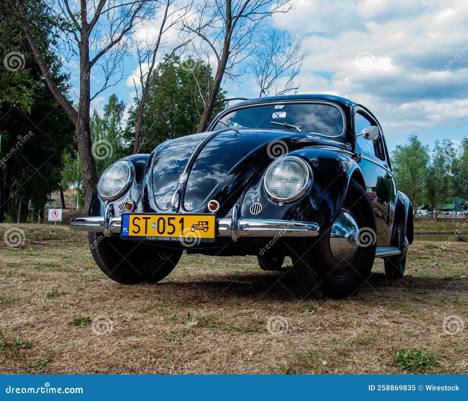 Black Volkswagen Beetle Car on the Grass. Editorial Image - Image of ...