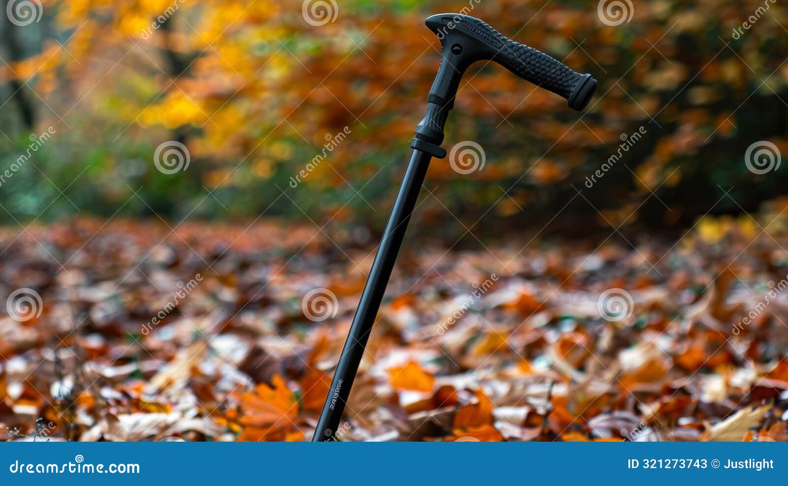 A Black Walking Stick with a Rubber Grip for Added Stability Stock ...