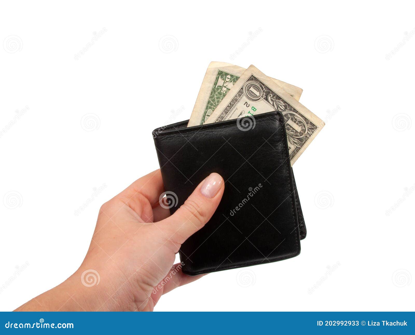 Black Wallet in Hand Isolated on the White Stock Image - Image of ...