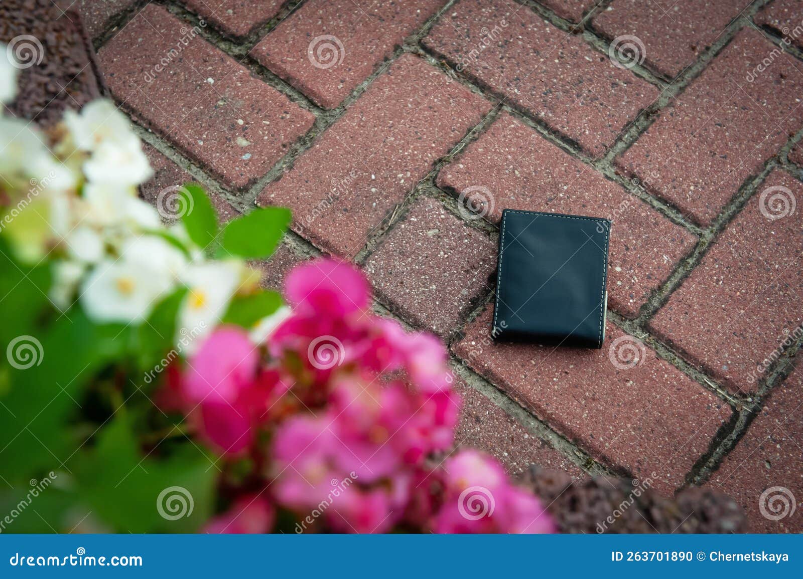 Black Wallet on Pavement Outdoors, Above View. Lost and Found Stock ...