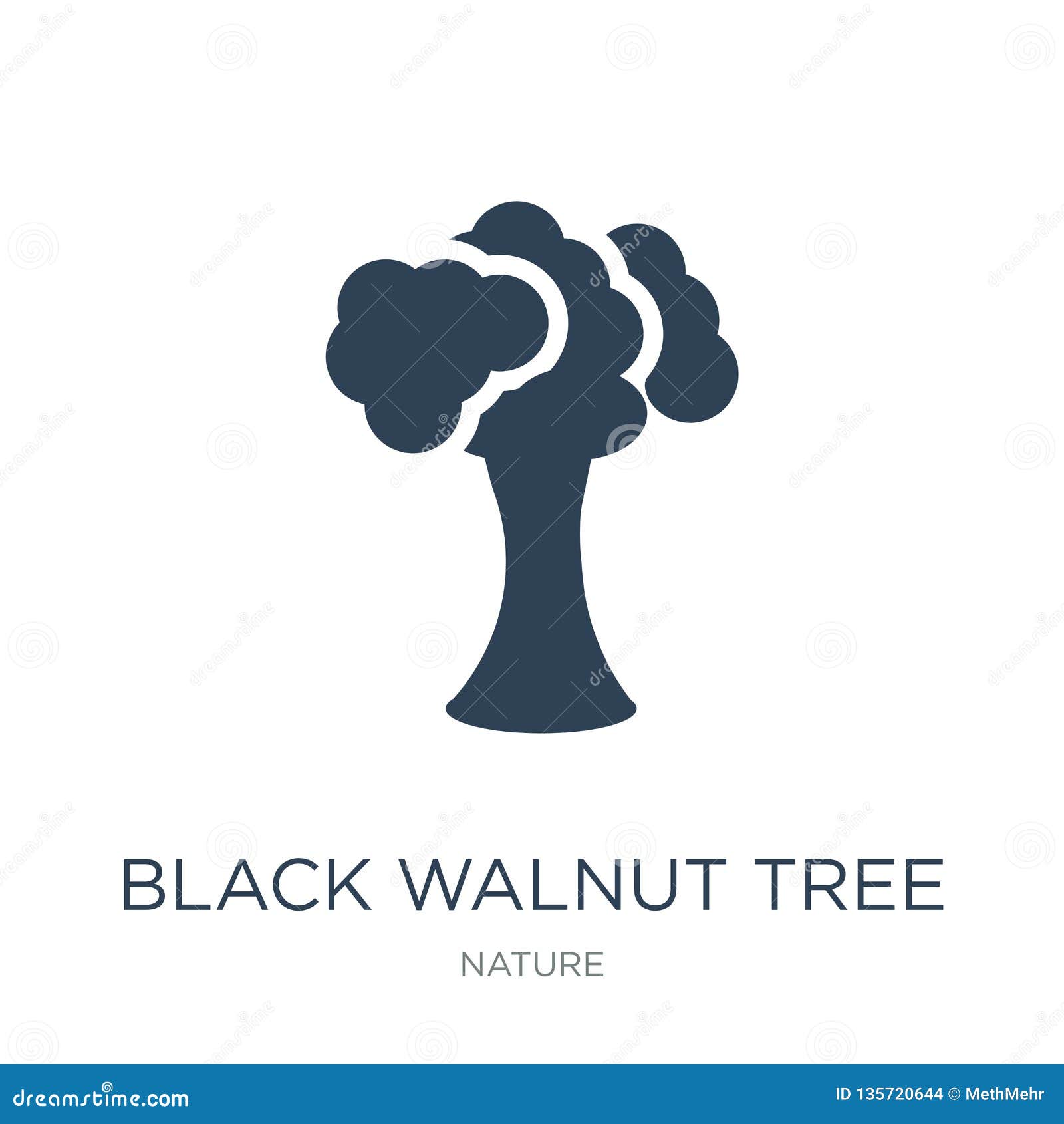 Walnut Tree Stock Illustrations – 1,723 Walnut Tree Stock Illustrations ...
