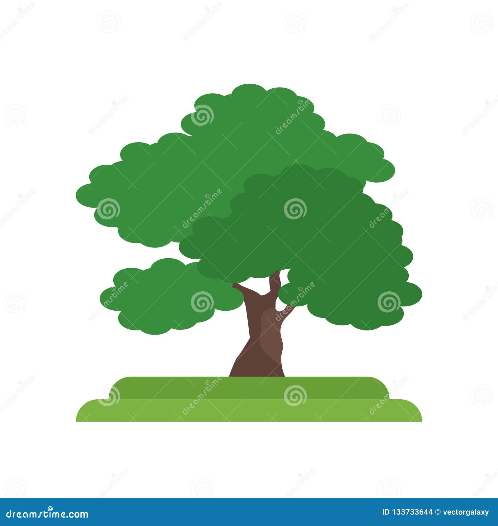 Black Walnut Tree Icon Vector Sign and Symbol Isolated on White Stock ...