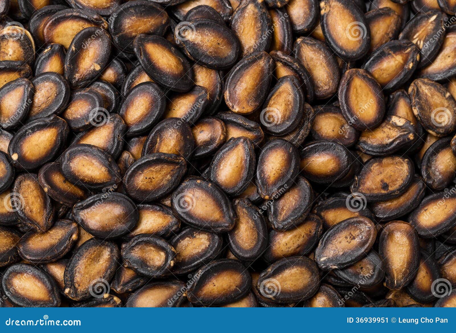 Black watermelon seed stock image. Image of isolated - 36939951