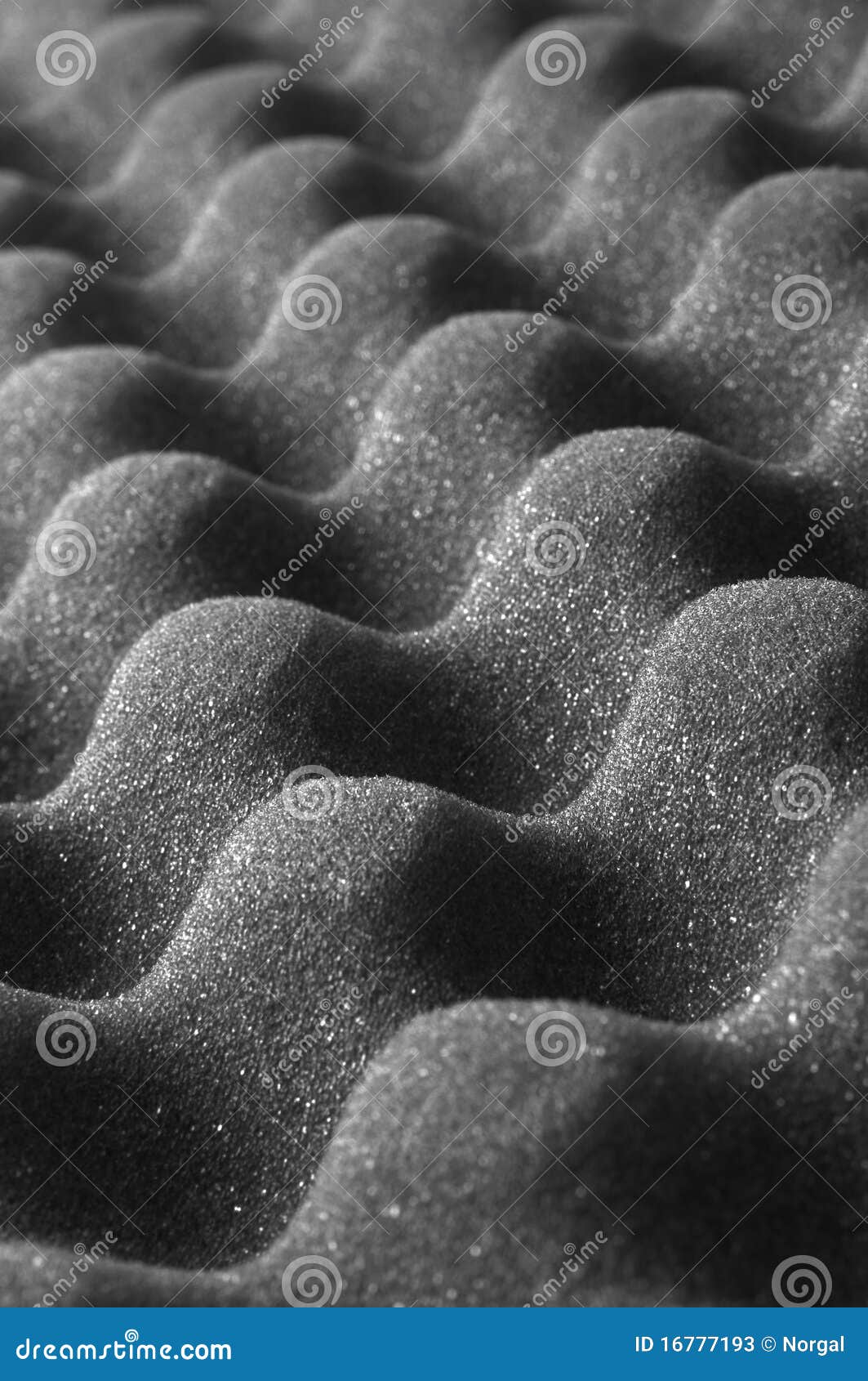 Sponge Absorbing Waves