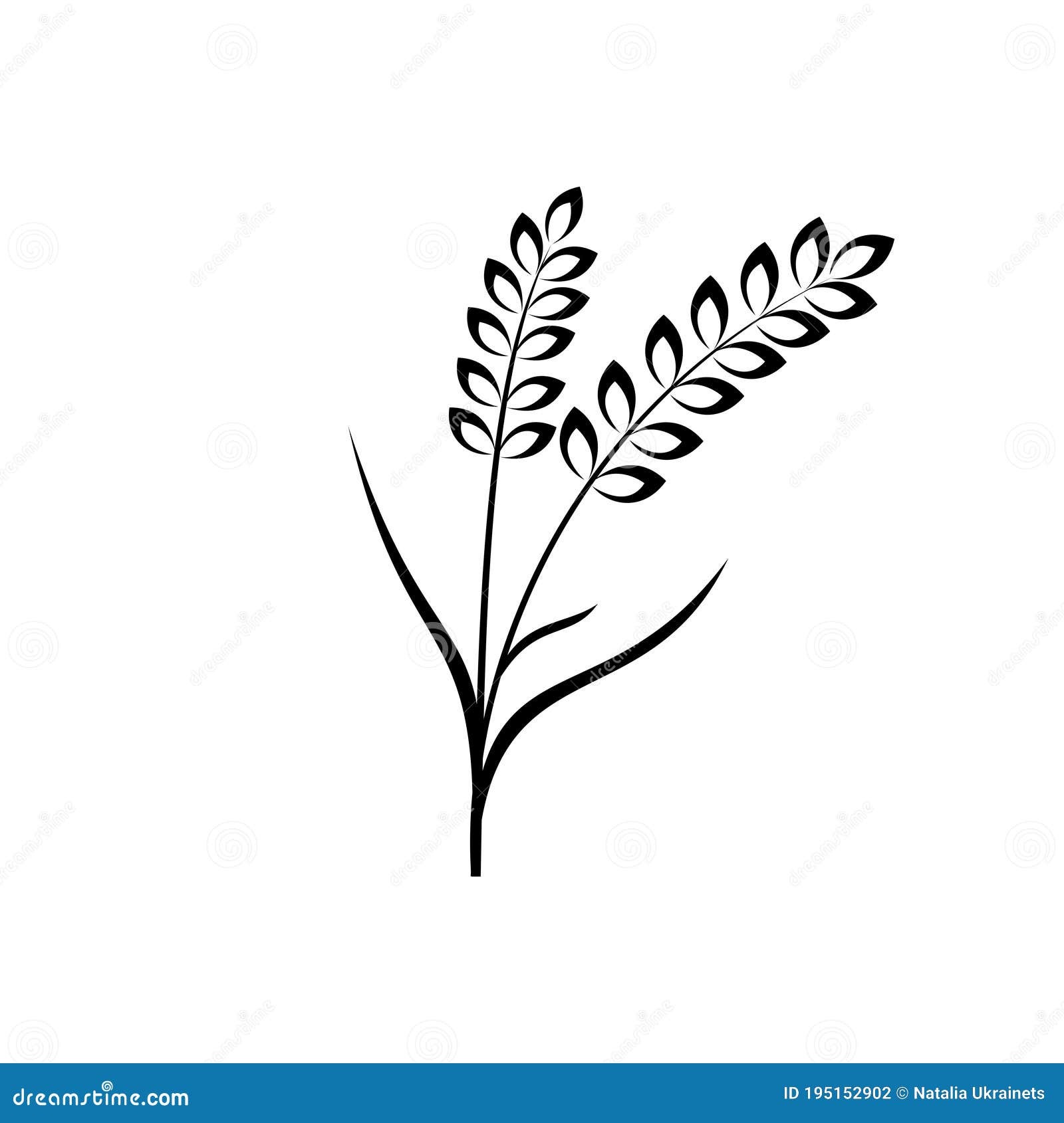 Black Wheat logo stock vector. Illustration of design - 195152902