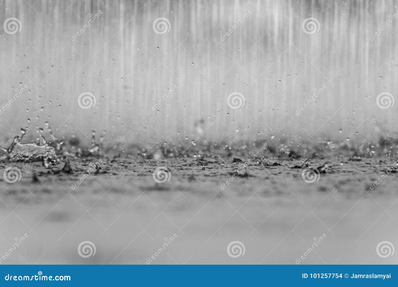 Black White Abstract Background Raindrop on the Ground. Stock Photo ...