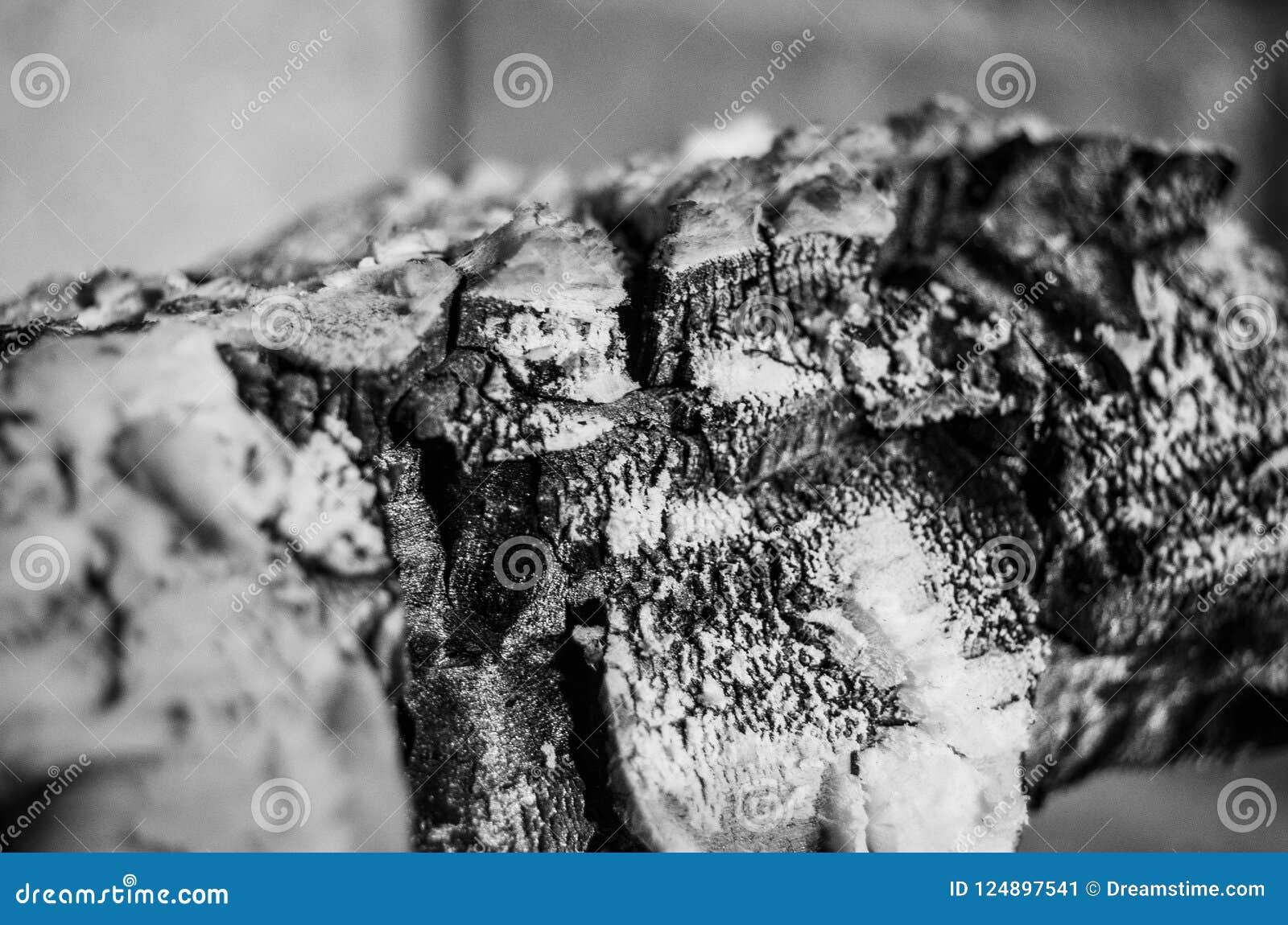 Abstract Burnt Paper Texture Collection Stock Photography ...
