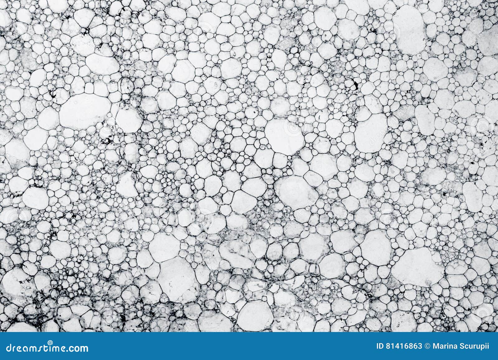 Set Foam Effect Isolated On Transparent Background. Soap, Gel Or ...