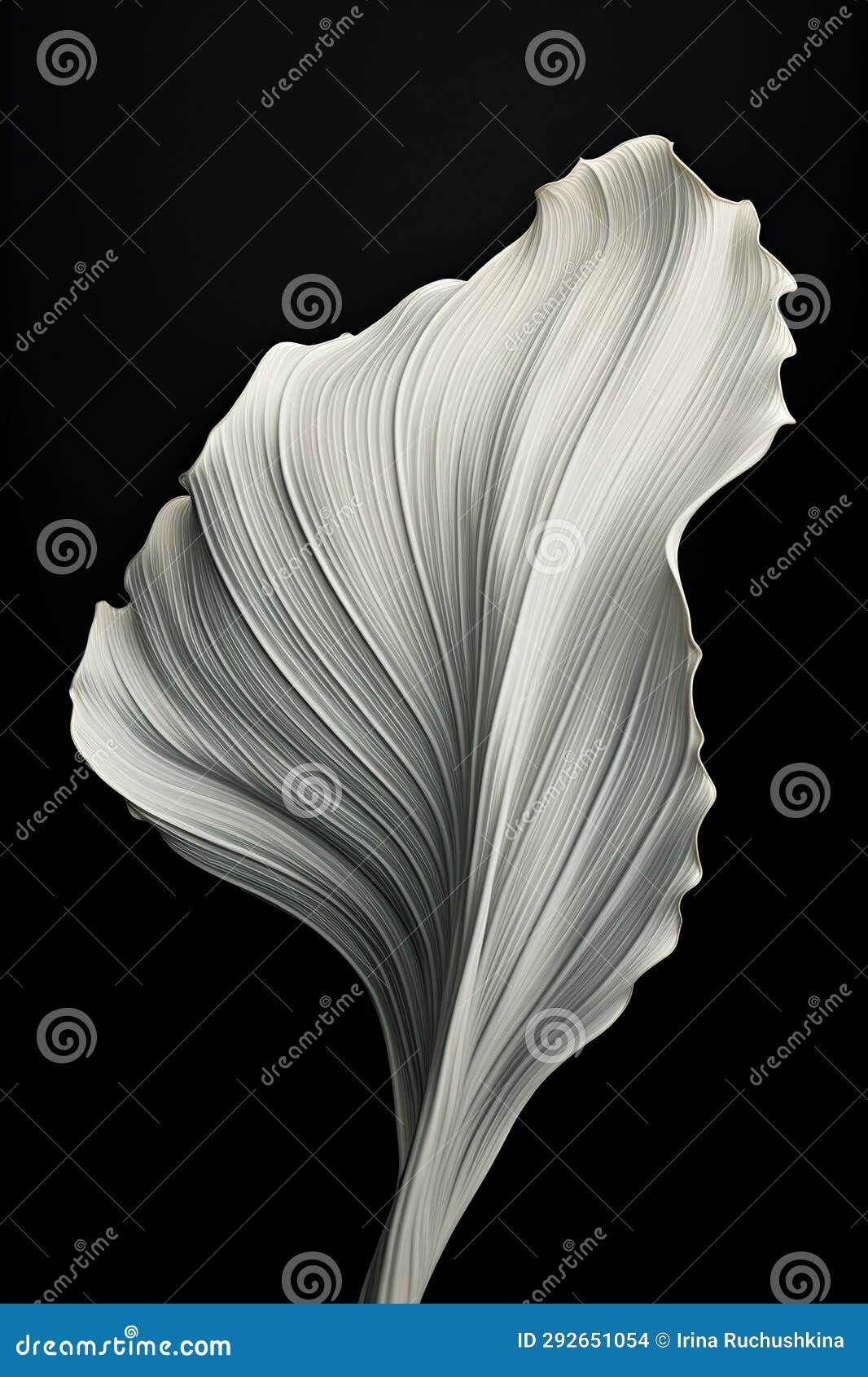 Black and White Abstraction of Acanthus Leaf Stock Photo - Image of ...