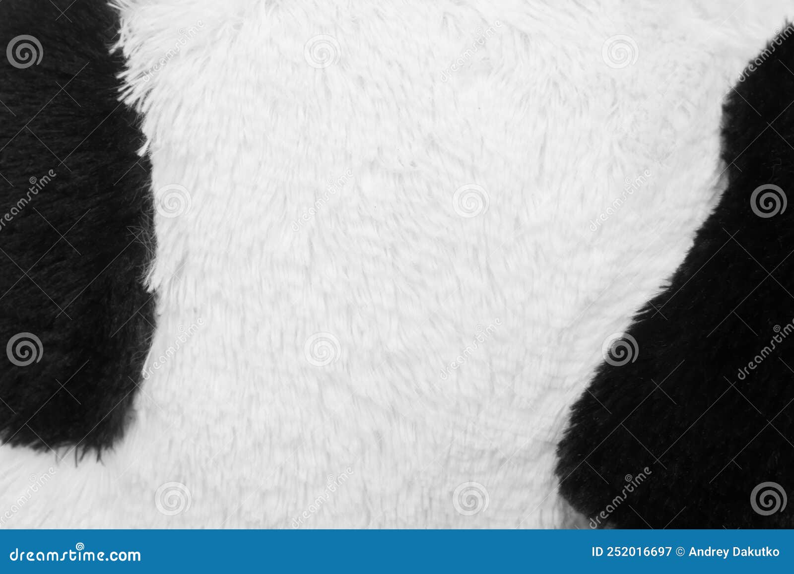 Panda Texture