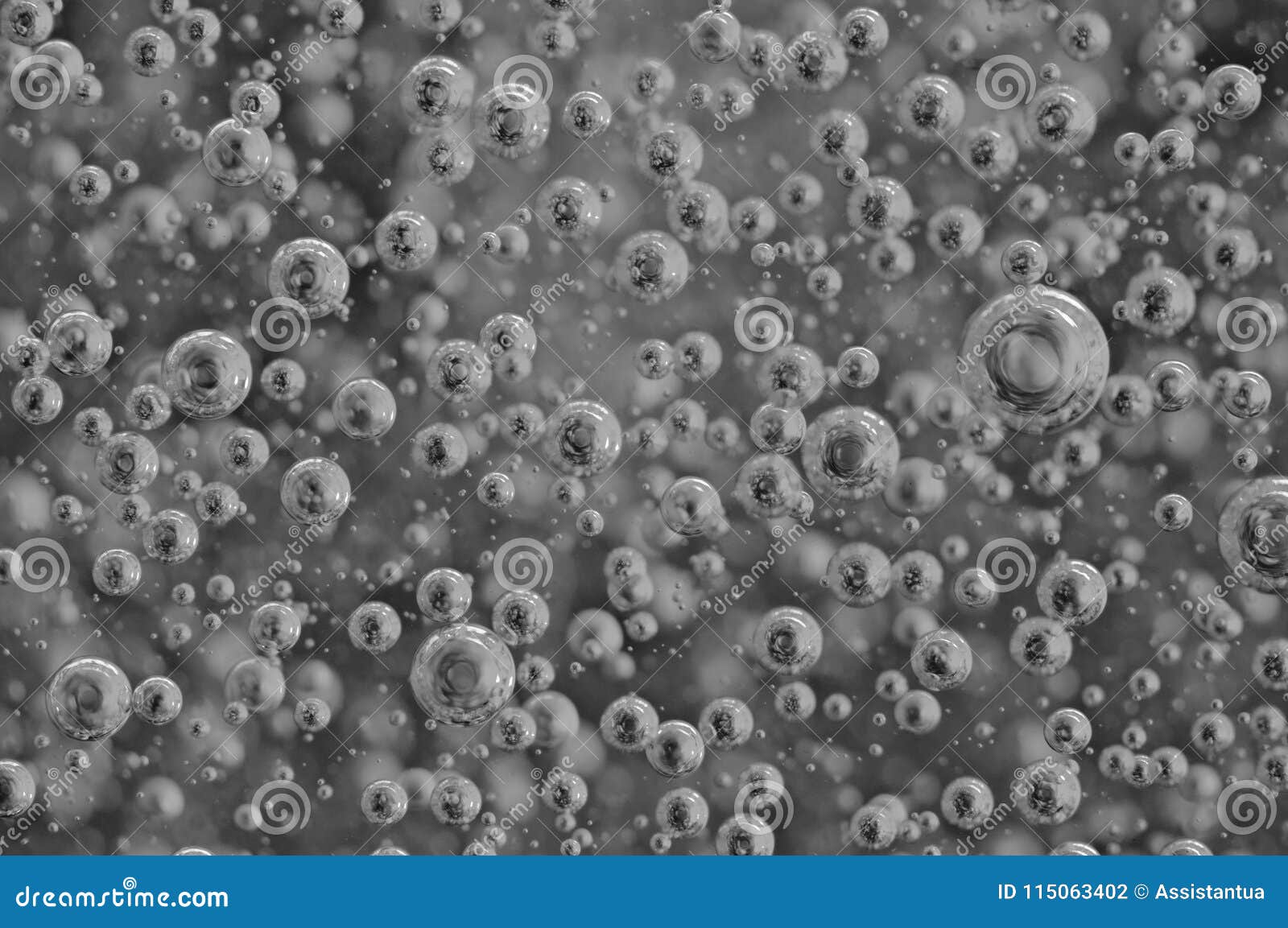 Black-and-white Background with Big and Small Grey Bubbles Inside a ...