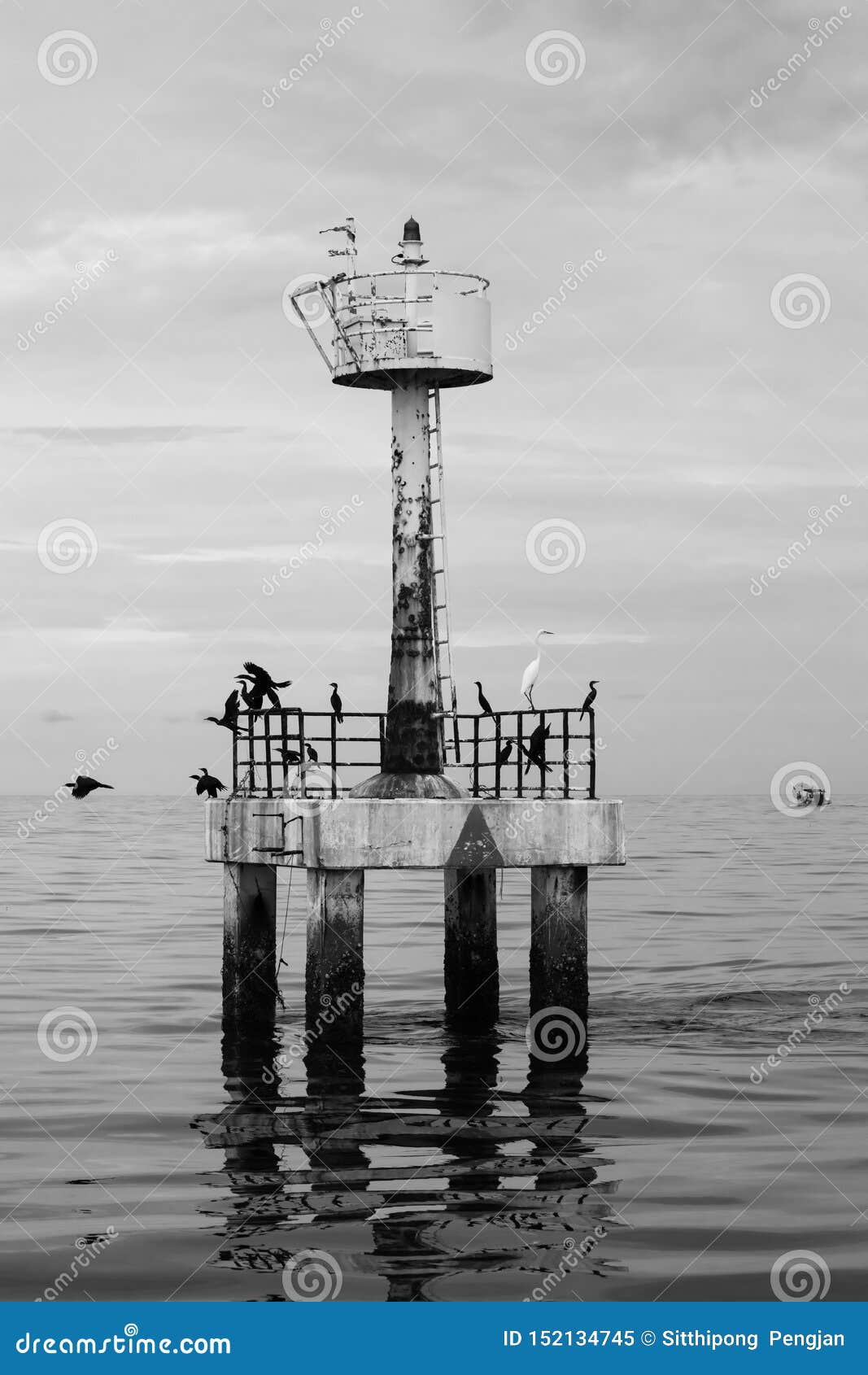 3,506 Background Black Lighthouse Photos - Free & Royalty-Free Stock ...