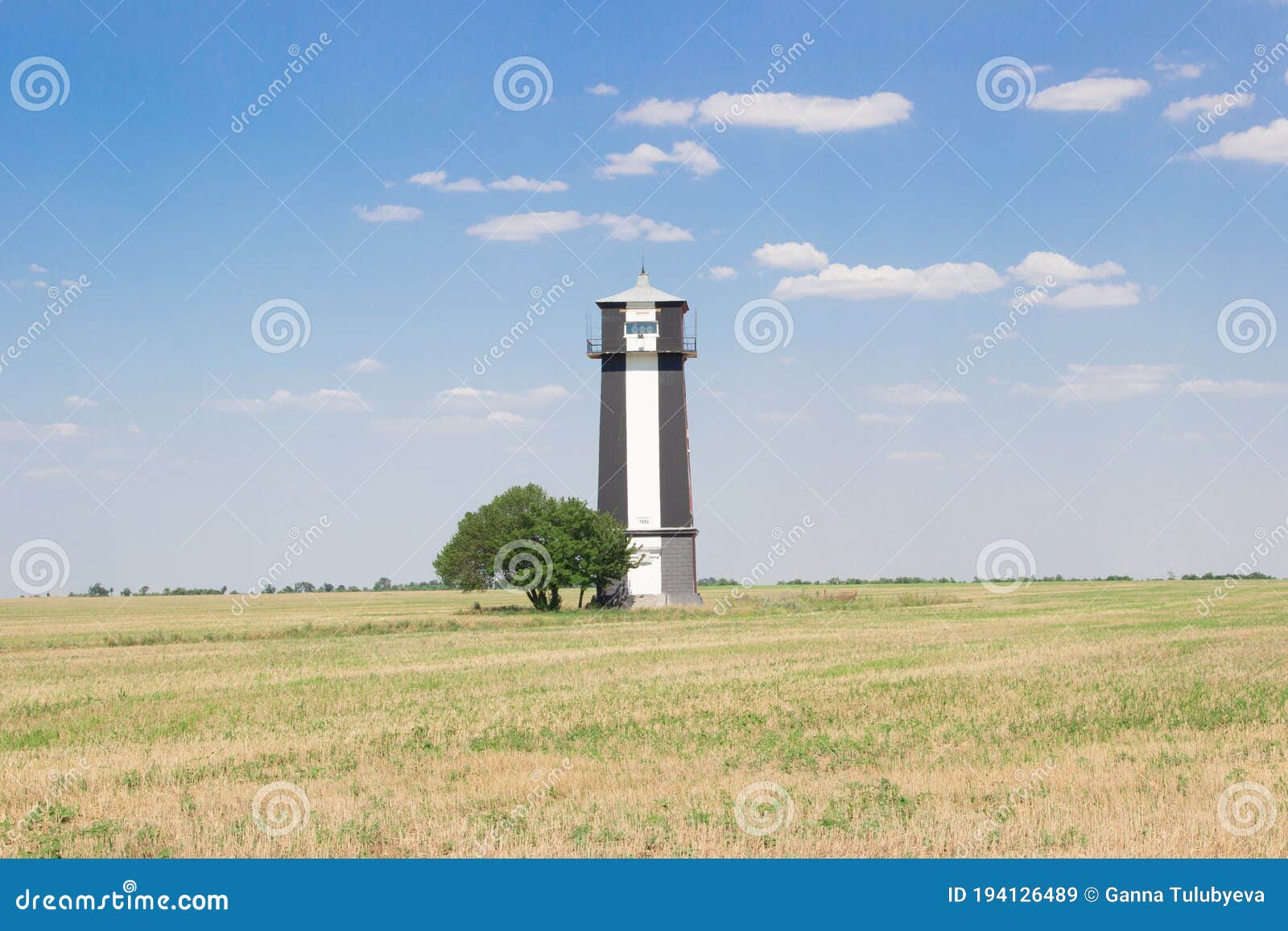 A Clear Field Of Agricultural Land Is Densely Overgrown With Grass ...