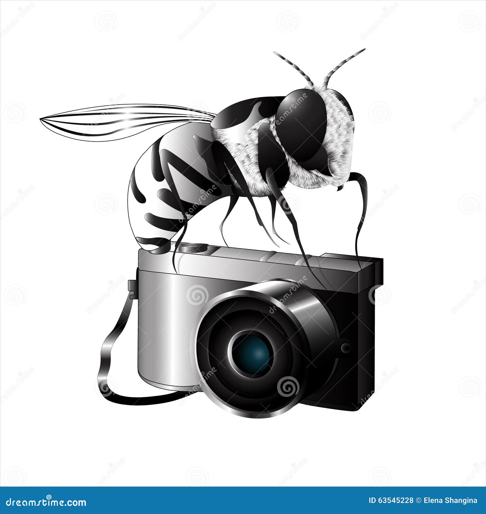 Black White Bee on the Camera. Stock Vector - Illustration of eyes ...
