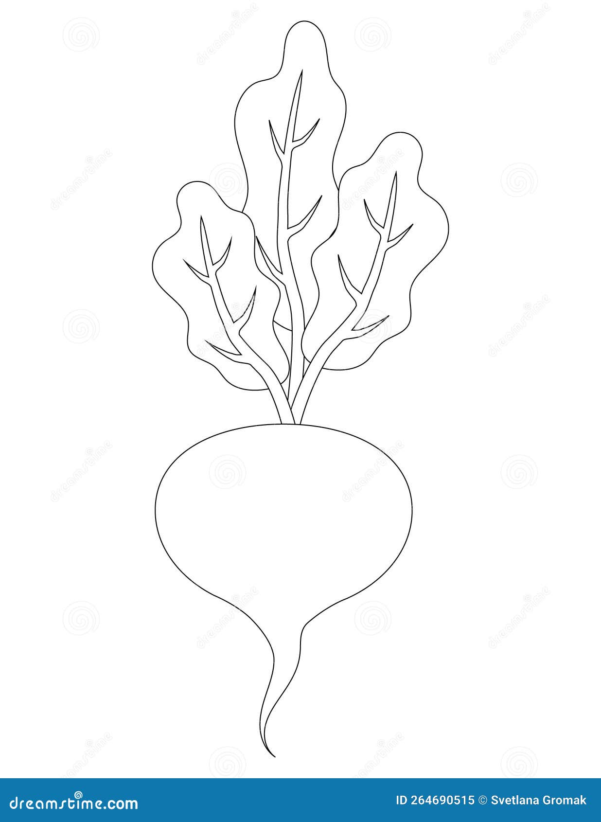 Beetroot Pattern. Vector. Simple Vegetable Drawing. | CartoonDealer.com ...