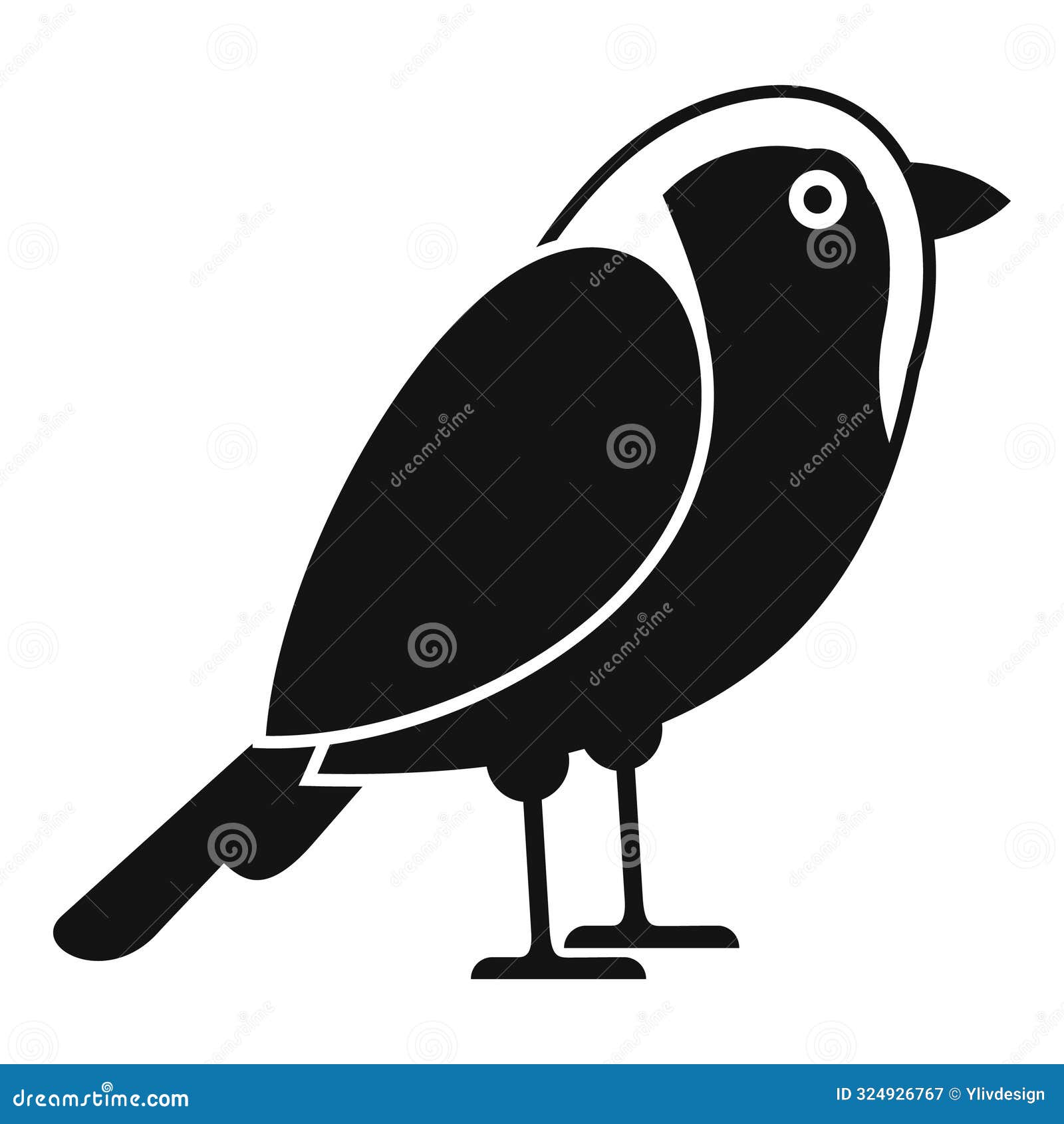 Black and White Bird Standing Watching Looking Forward Icon Stock ...