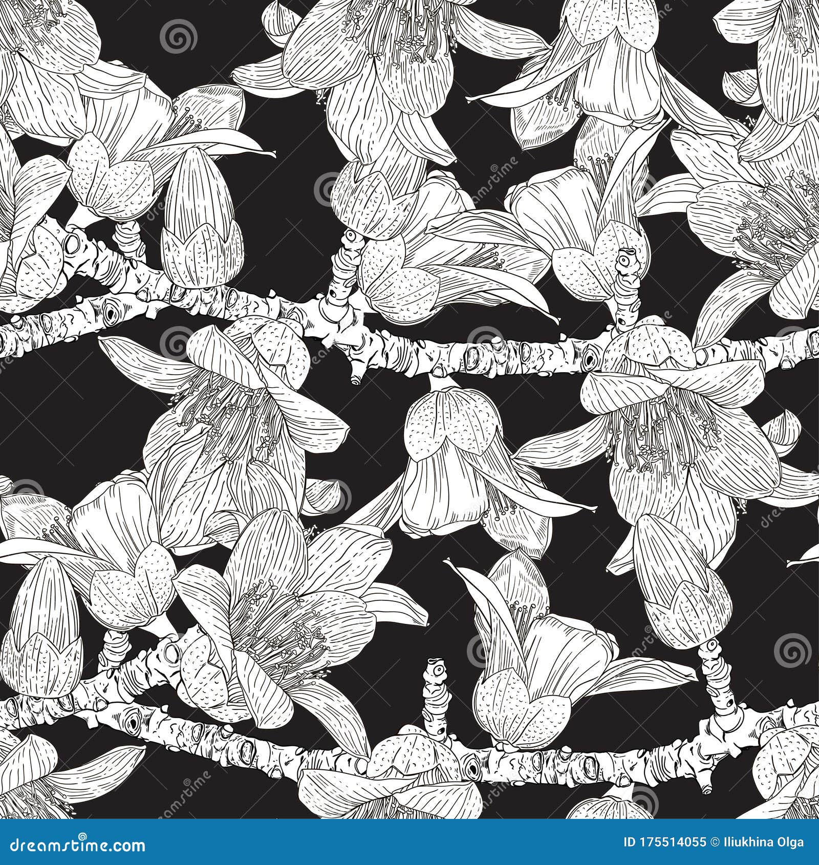 Black and White Bombax Ceiba Flowers Pattern Stock Vector ...