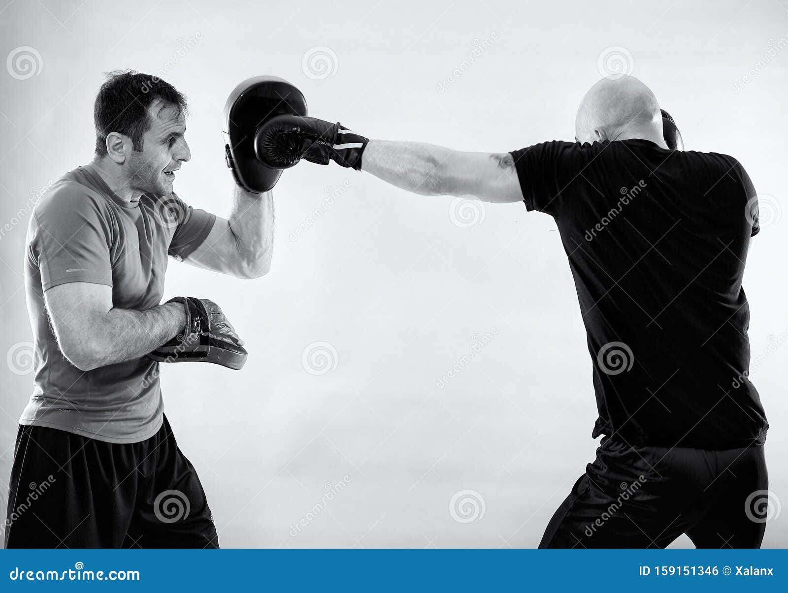 Black and White of Boxer with Trainer Stock Photo - Image of fighter ...